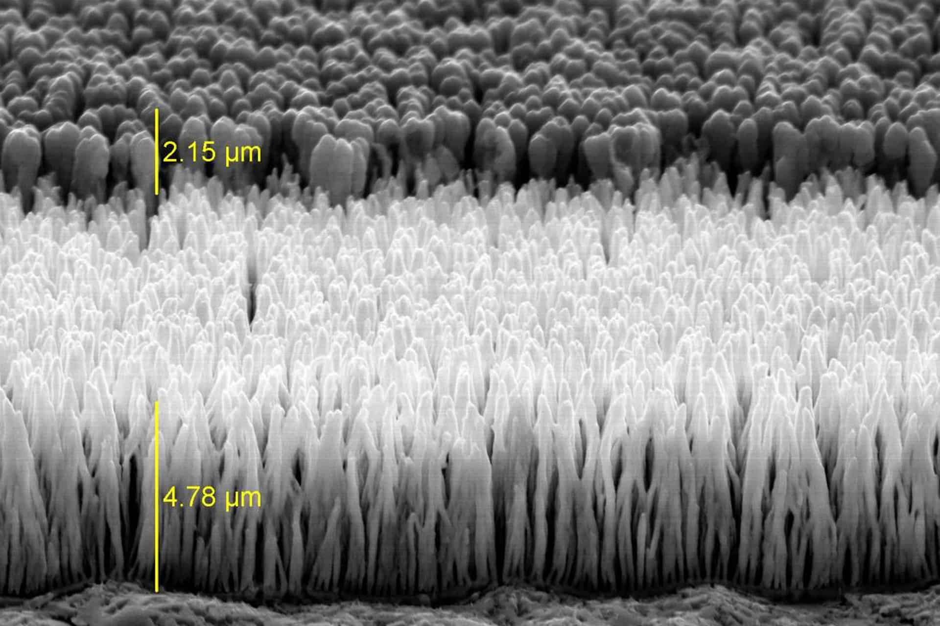 Carbon nanotechnology - Smoltek